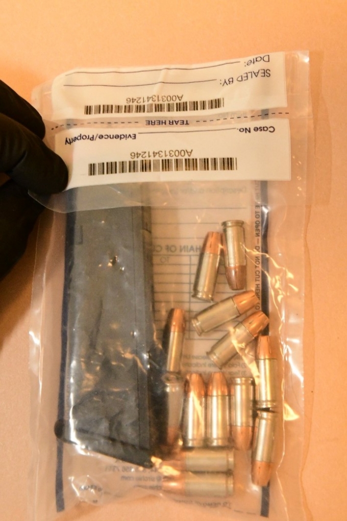 Special Investigations Unit -- Director's Report Details, Case Number ...