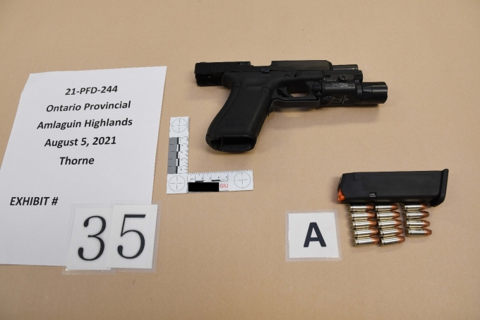 Special Investigations Unit -- Director's Report Details, Case Number ...