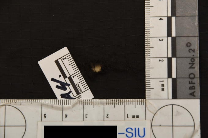 Special Investigations Unit -- Director's Report Details, Case Number ...