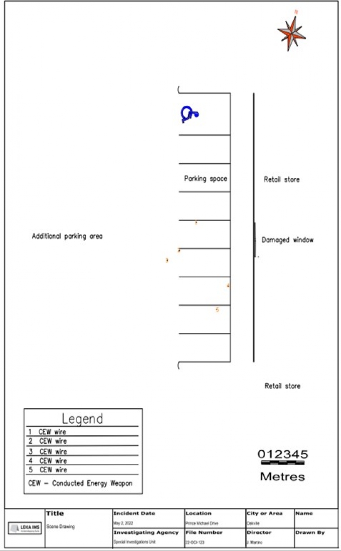 Special Investigations Unit -- Director's Report Details, Case Number ...