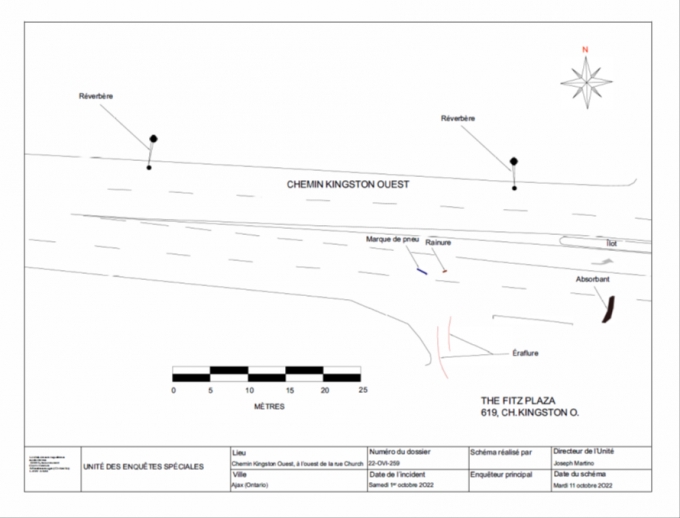 Special Investigations Unit -- Director's Report Details, Case Number ...