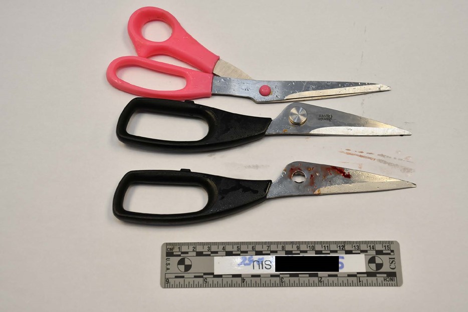 Special Investigations Unit -- Director's Report Details, Case Number ...