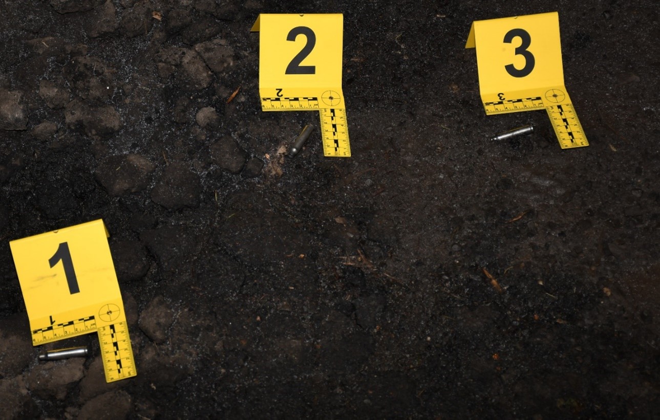 Special Investigations Unit -- Director's Report Details, Case Number ...