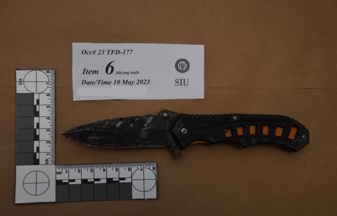 Special Investigations Unit -- Director's Report Details, Case Number ...