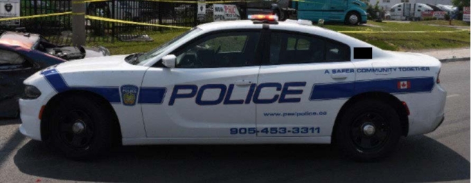 Special Investigations Unit -- Director's Report Details, Case Number ...