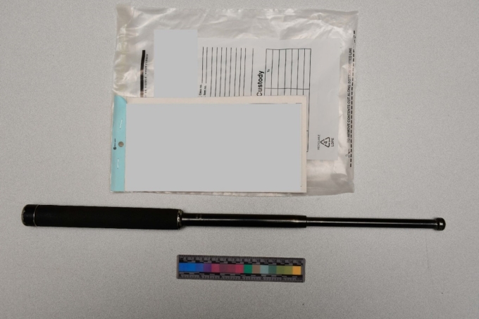 Special Investigations Unit -- Director's Report Details, Case Number ...