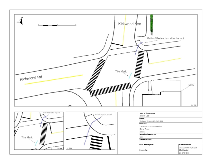 Special Investigations Unit -- Director's Report Details, Case Number ...