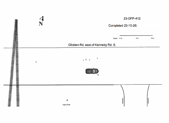 Special Investigations Unit -- Director's Report Details, Case Number ...