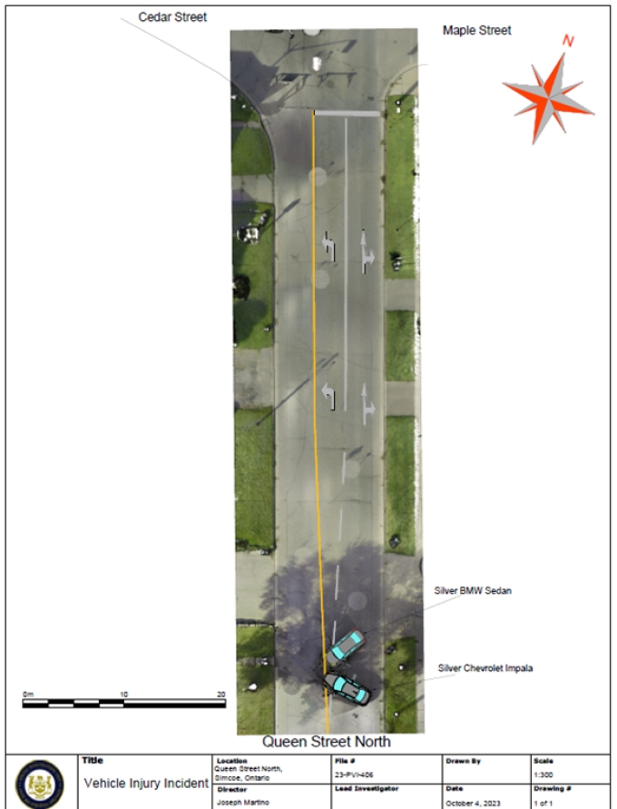 Special Investigations Unit -- Director's Report Details, Case Number ...