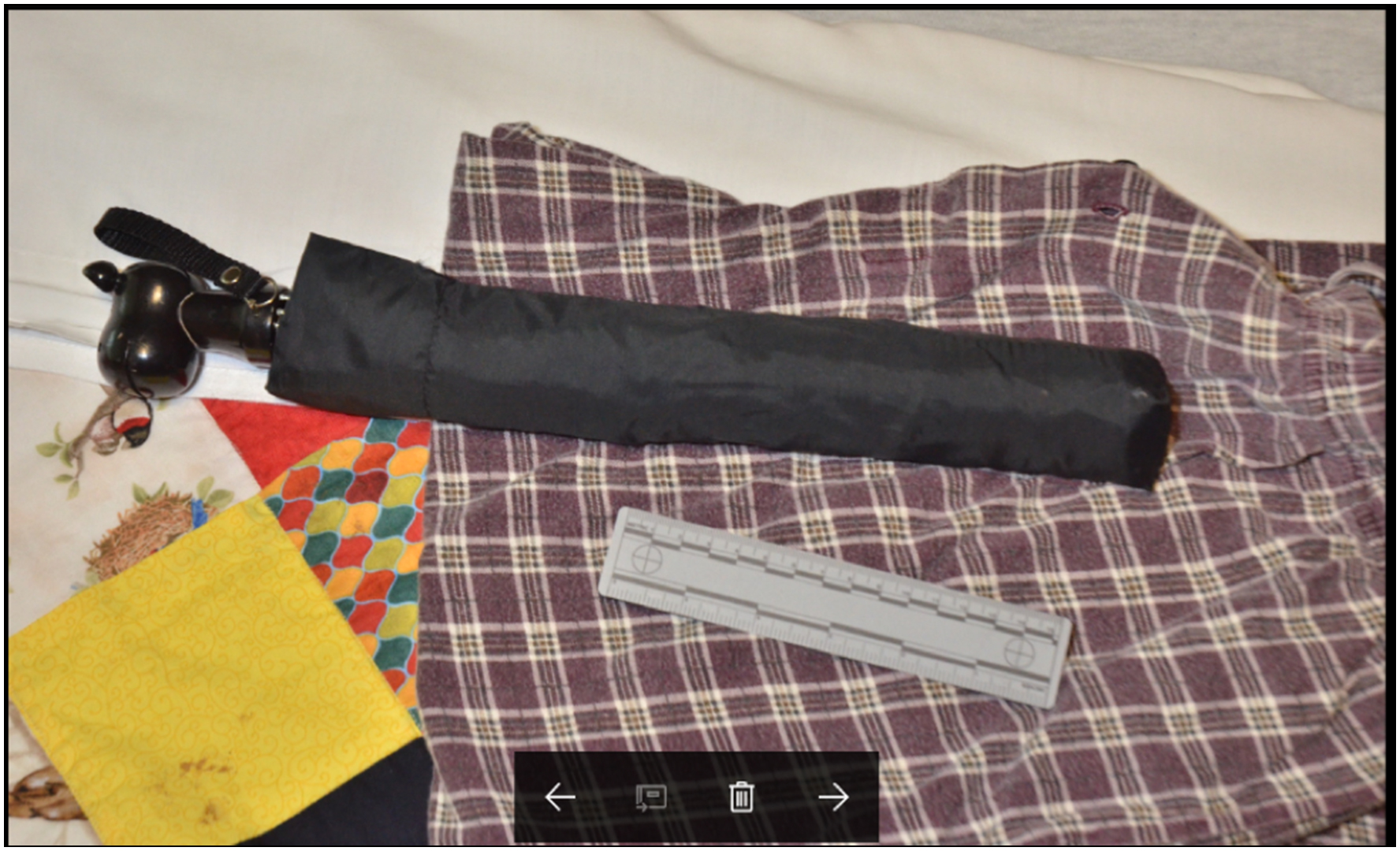 Special Investigations Unit -- Director's Report Details, Case Number ...