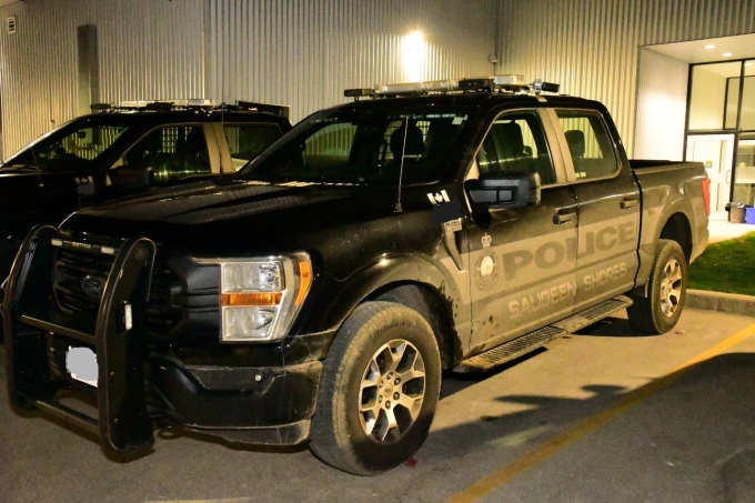 Special Investigations Unit -- Director's Report Details, Case Number ...