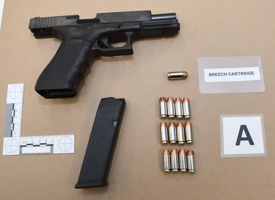 Special Investigations Unit -- Director's Report Details, Case Number ...