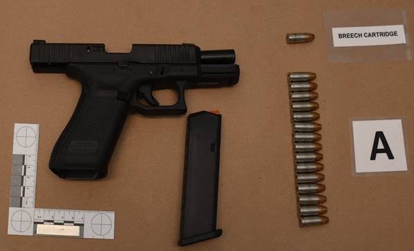 Special Investigations Unit -- Director's Report Details, Case Number ...