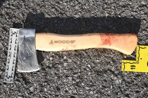 Special Investigations Unit -- Director's Report Details, Case Number ...