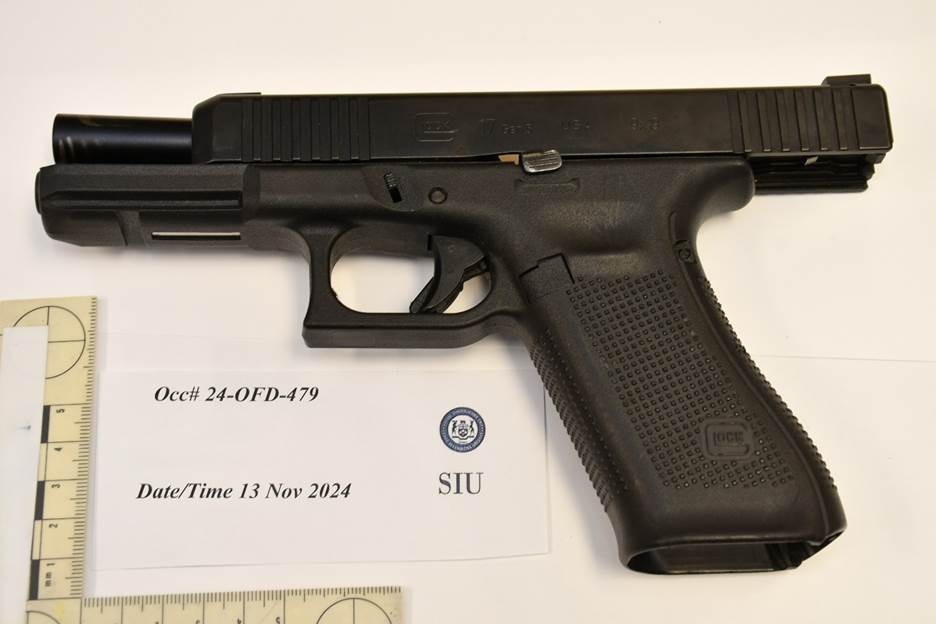 Special Investigations Unit -- Director's Report Details, Case Number ...