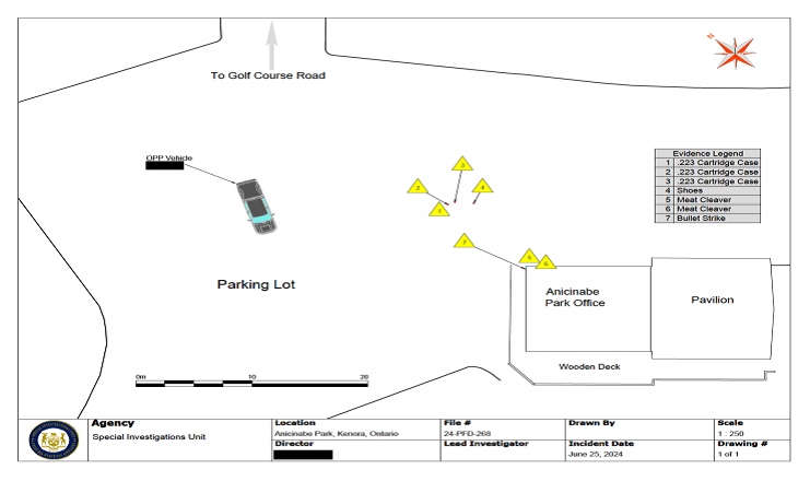 Special Investigations Unit -- Director's Report Details, Case Number ...