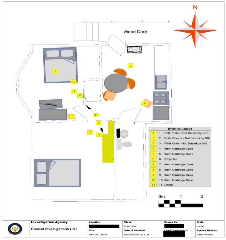 Special Investigations Unit -- Director's Report Details, Case Number ...