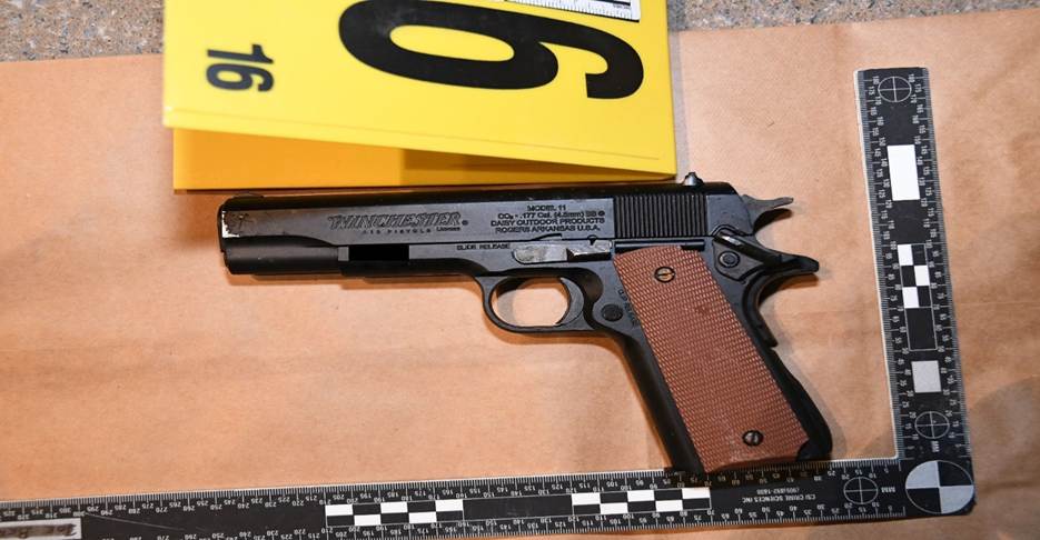 Special Investigations Unit -- Director's Report Details, Case Number ...