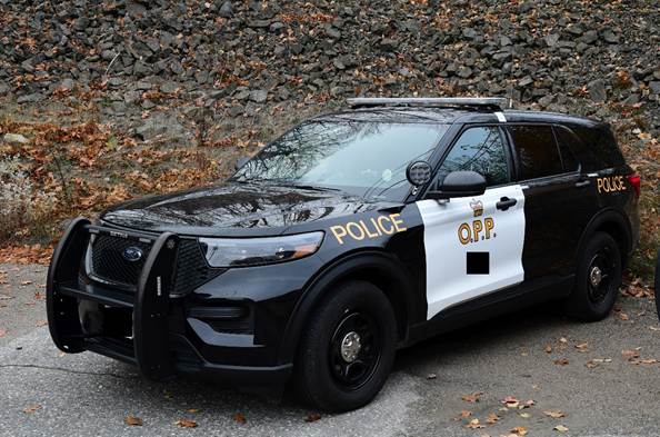 Special Investigations Unit -- Director's Report Details, Case Number ...